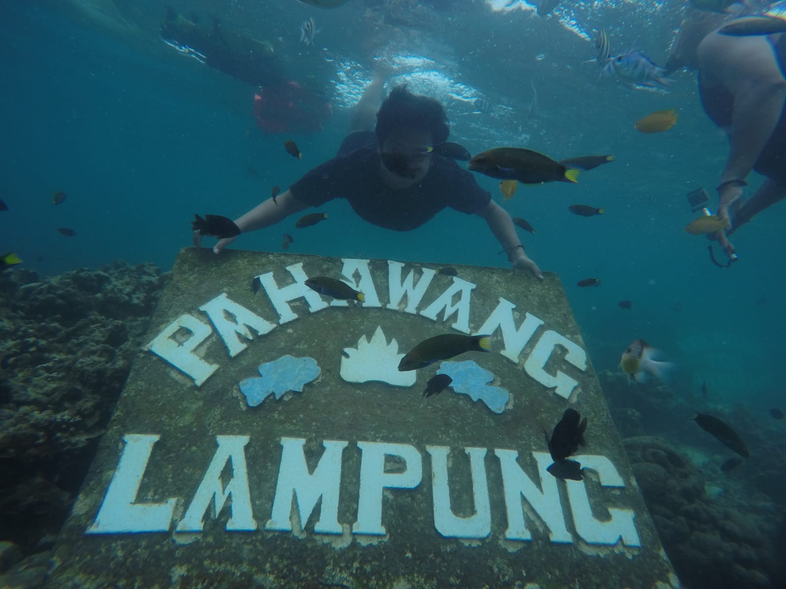 Sekilas pulau pahawang – Teras Pahawang